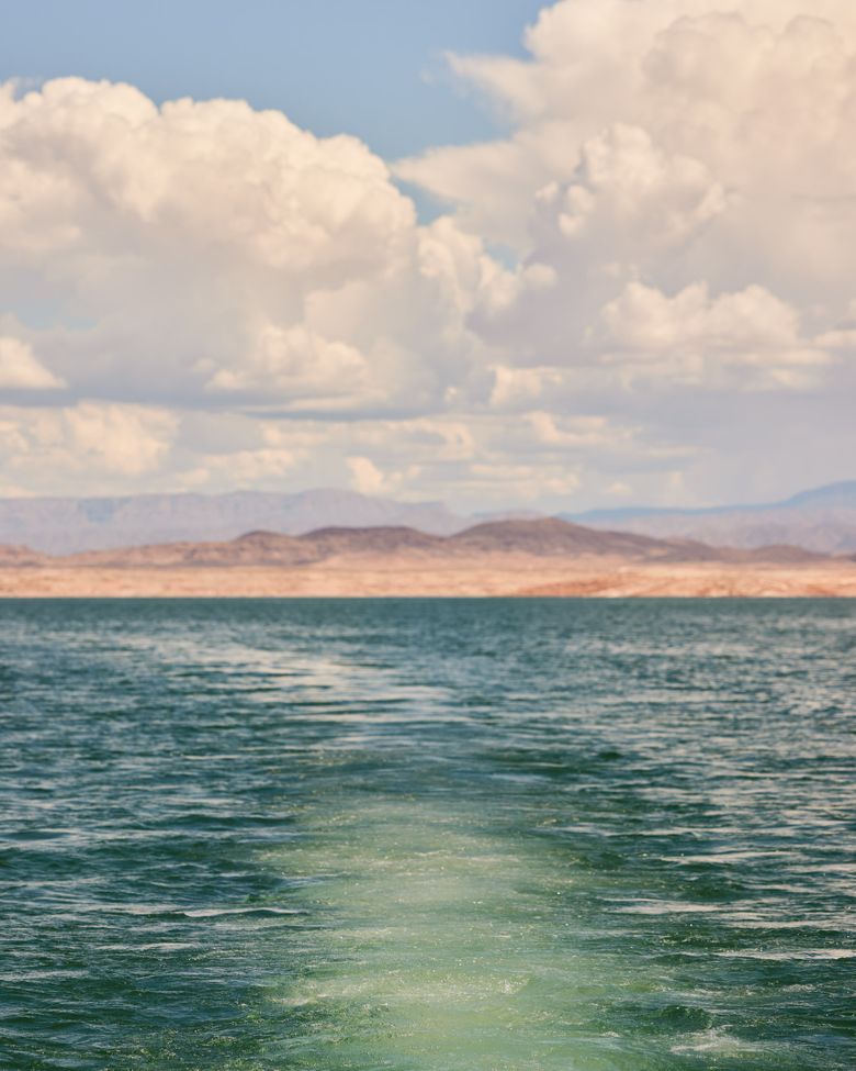 Selected Works of Los Angeles Photographer Jesse Rieser