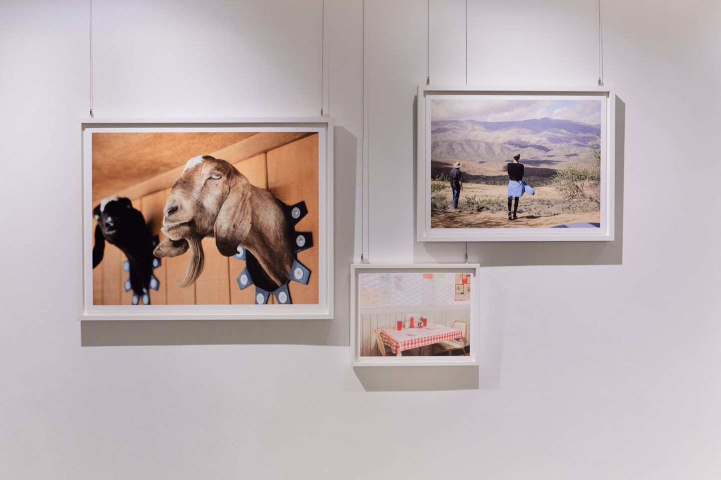 Selected Works of Photographer Jesse Rieser